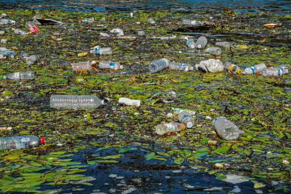 Why Is Single-Use Plastic Bad? - Washable Produce Bags